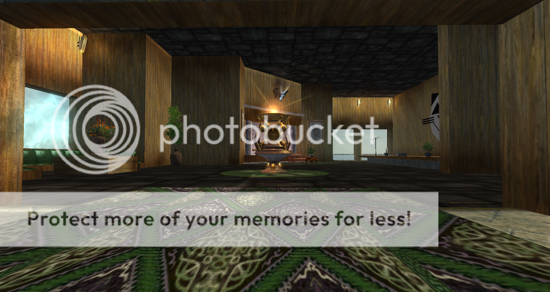 The Cat and Mouse Cafe - Maj'Dul Server | EverQuest 2 Forums