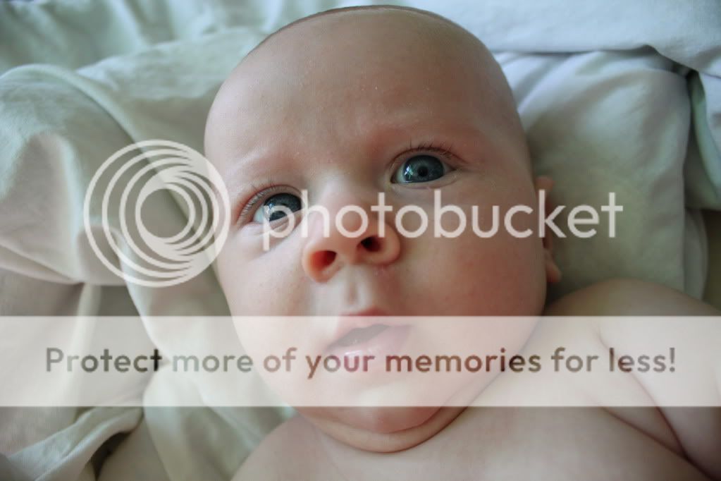 A peek into life of a chewing drool monster | Sasha Times Two